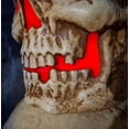 Home Accents Holiday 8 ft. H Giant Sized LED Skull Stack - Walmart.com