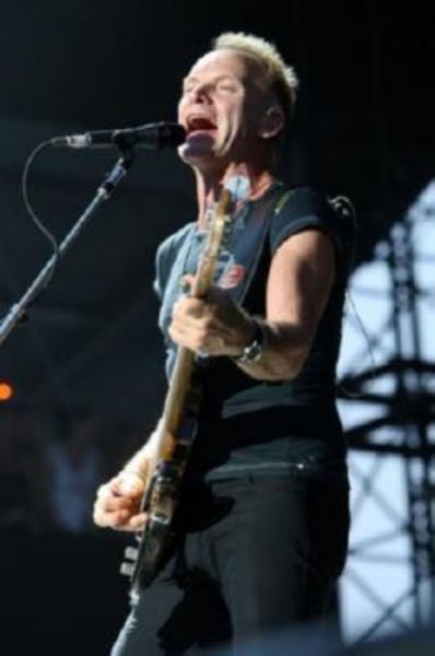 Sting Poster 24Inx36In Entertainment Decor Art Poster 24x36 Unframed ...