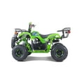 "Tao Motor D125 Gas Powered Four-Wheeler Youth 107cc 4-Stroke ATV with ...