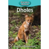 Elementary Explorers: Corn (Paperback) - Walmart.com