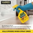 Harri's Spider Killer 32oz Trigger Spray, Odorless, Indoor/Outdoor Use ...