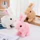 Techinal Electric Rabbit Toy Plush Bunny Battery Operated Hopping ...
