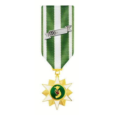 Meritorious Service Medal (MSM) Full Size - Walmart.com