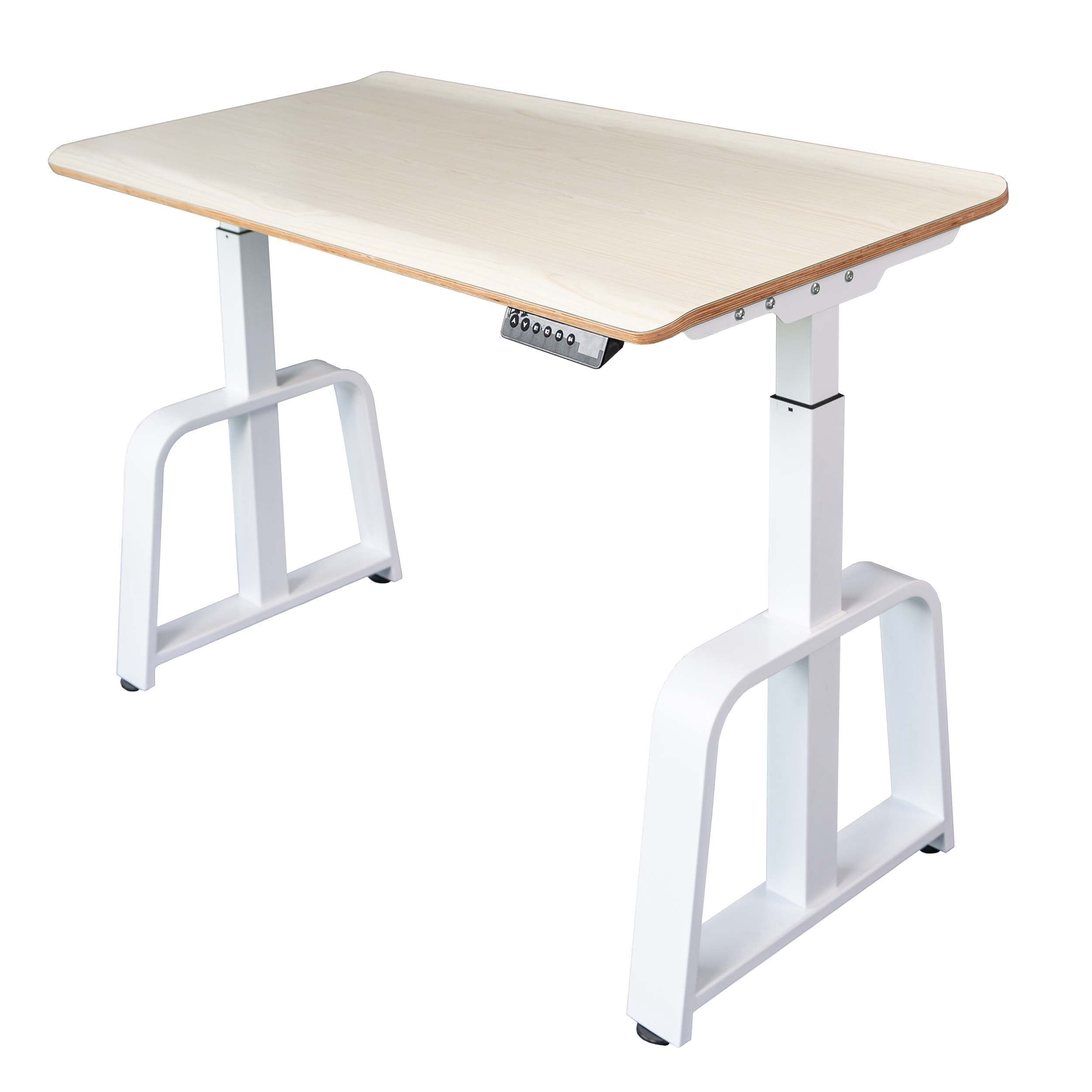 Stand Up Desk Store Programmable Electric Ergonomic Standing Desk ...
