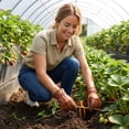 Stolon Fixing Clip Plant Vine Presser for Strawberry Planter and Vine ...