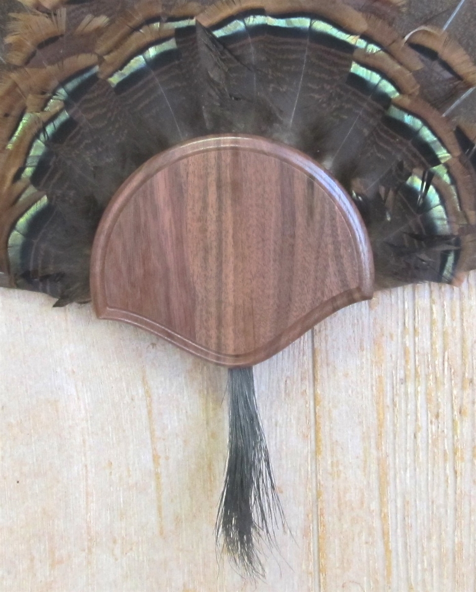 The Taxidermists Woodshop Walnut Turkey Fan Mounting Kit 01 Walmart The Taxidermists Woodshop Walnut Turkey Fan Mounting Kit 01 Walmart