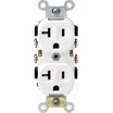 Leviton 20-Amp, 125-Volt, Electric Outlet, Duplex Receptacle, Straight ...