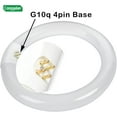 8 inch FC8T9/CW 22W Cool White Circular Fluorescent Light Bulb, Round ...