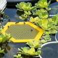 Printed Floating Bee Island, Bee Insect Waterer, Bee Waterer and ...