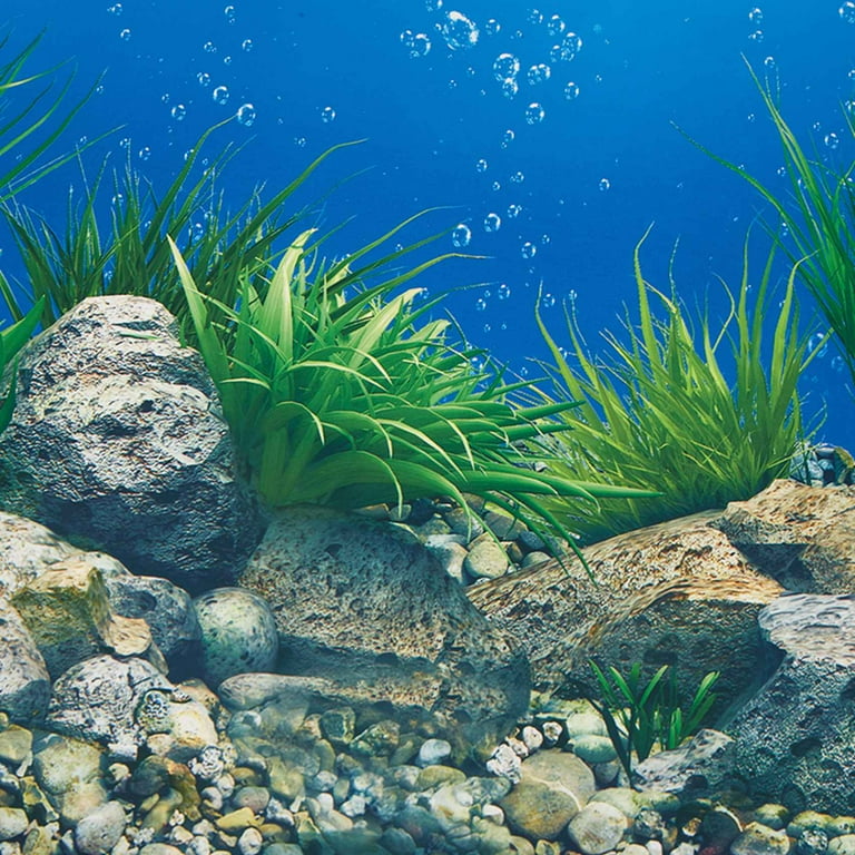 Aquarium Background Wallpaper