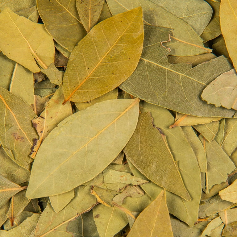 Mexican Bay Leaf