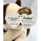 Beanie Classic Ty Jaden Siamese Cat Plu - Walmart.com