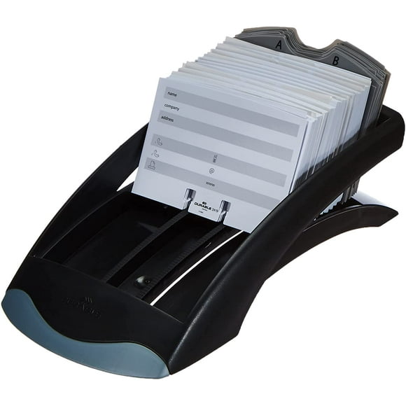 Alphabetical File Organizer