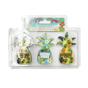 SOUVENIR MAGNET Hawaii Flower 3 Pack Refrigerator Fridge Souvenir ...