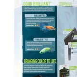 GloFish 2.5 Gallon Corner Aquarium Kit, Includes LED Lighting and ...
