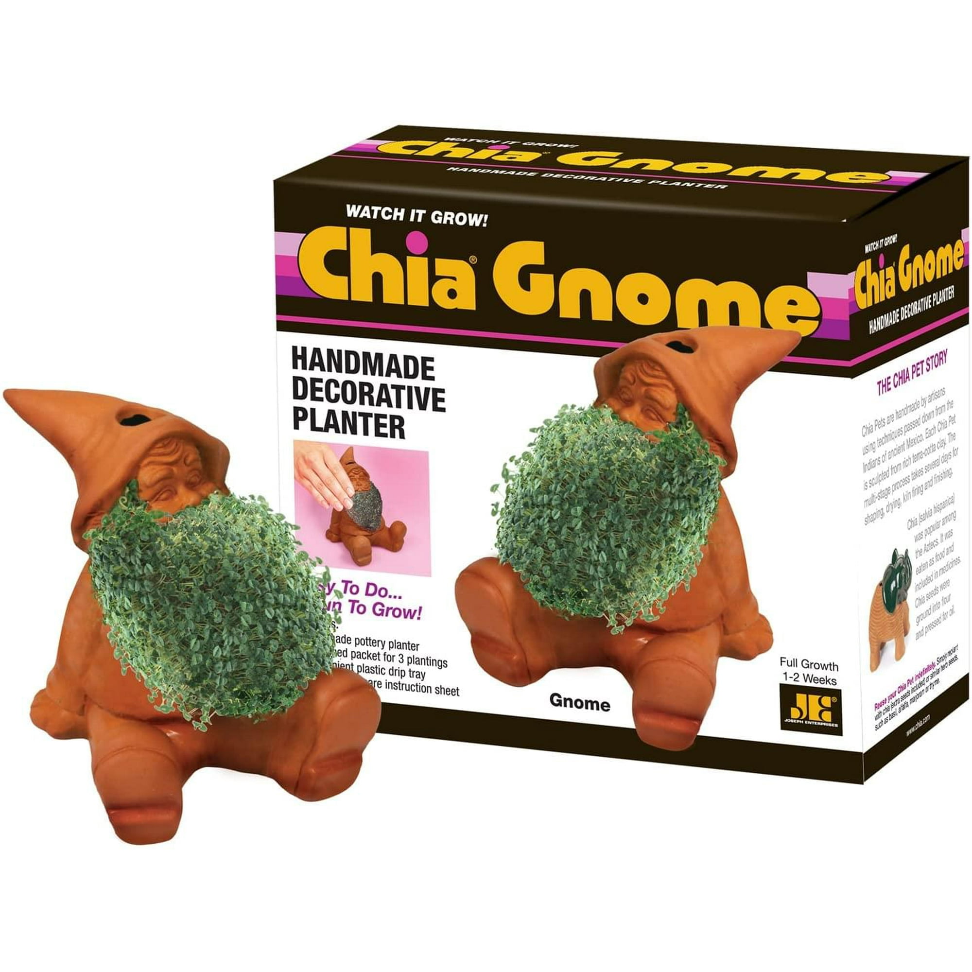 Click here for Joseph Enterprise Gnome Chia Pet Decorative Plante... prices