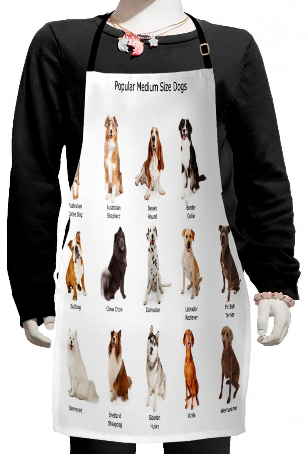 Dog Kids Apron, Group Different Puppy Breeds Family Type Species ...