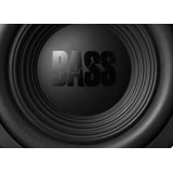 Alpine BassLine Series 10 Inch 750 Watt 4-Ohm Car Audio Subwoofer ...