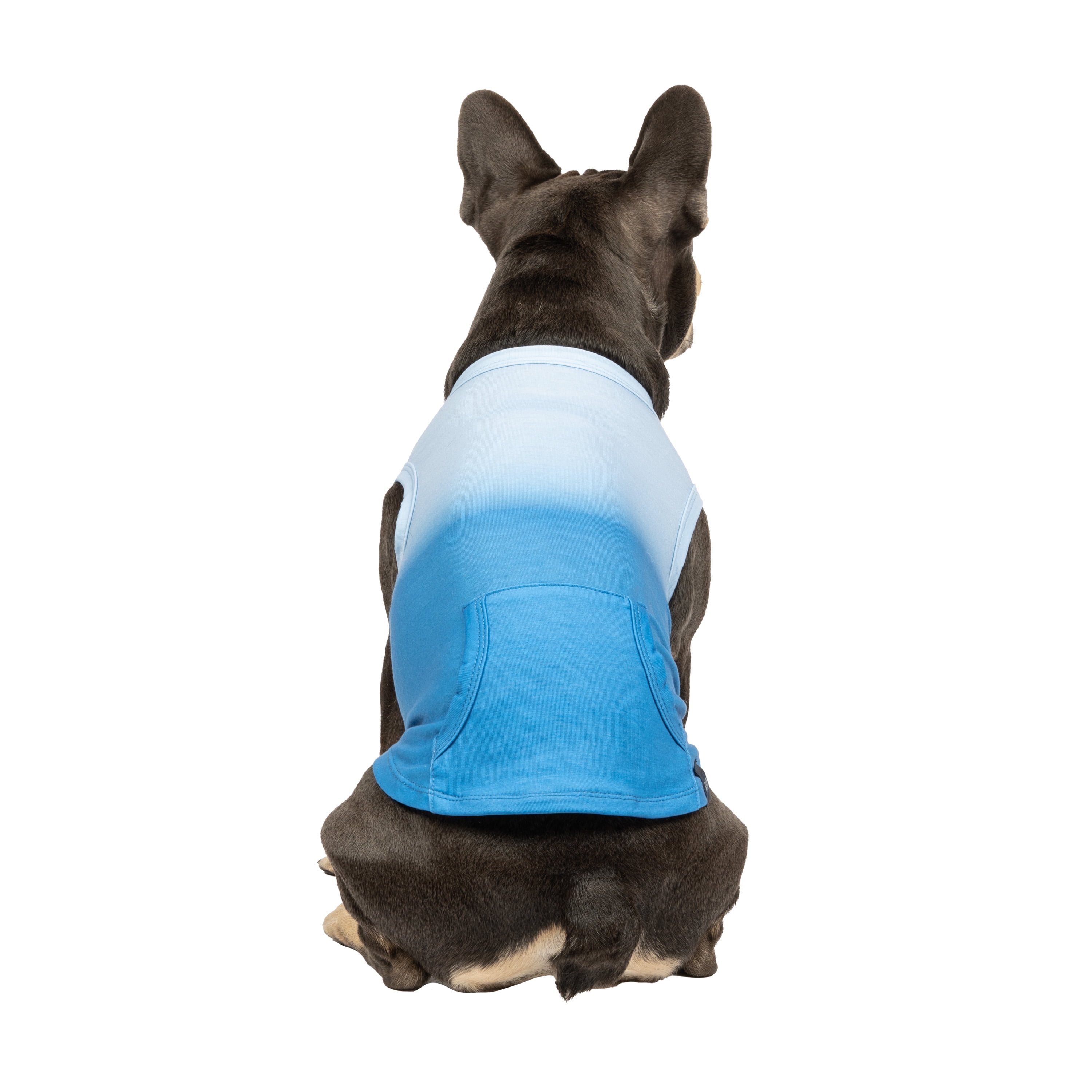 Gap Pet, Dog and Cat Clothes, Gradient Pocket Gap Pet T-Shirt, Blue ...