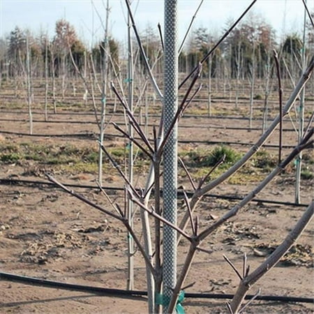 TekSupply 109113 Fiberglass Tree Stake, Fence Post - 10.06 in x 6 ft ...