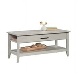 Sauder Summit Station Lift-Top Coffee Table with Shelf in Glacier Oak ...