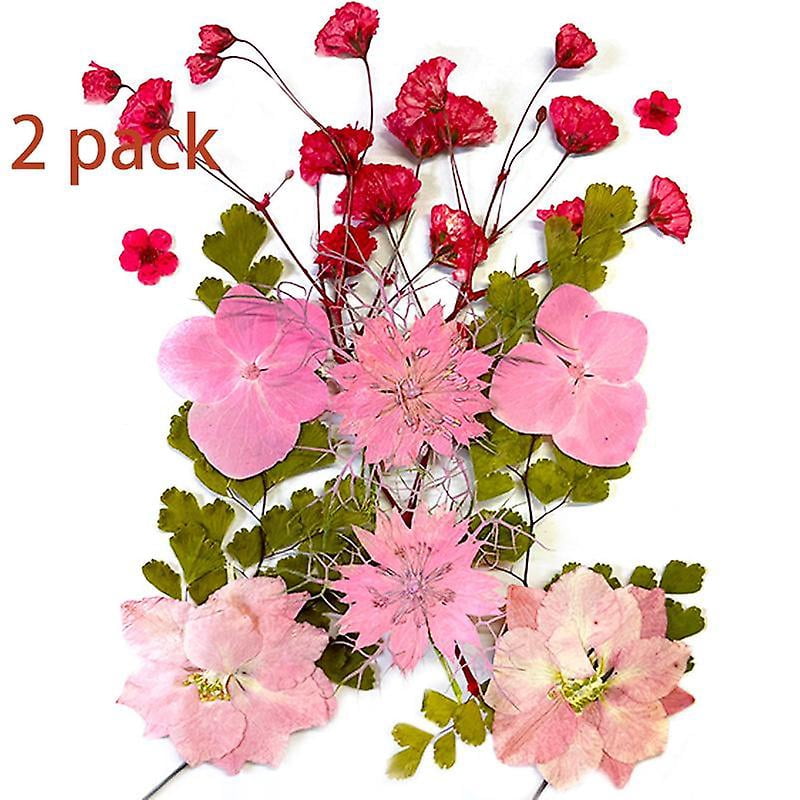 Hojas de Margarita Secas Reales Suyoo para Manualidades Rosa | Walmart ...