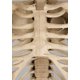 Animated 8 Foot Giant Skeleton Decoration - Walmart.com