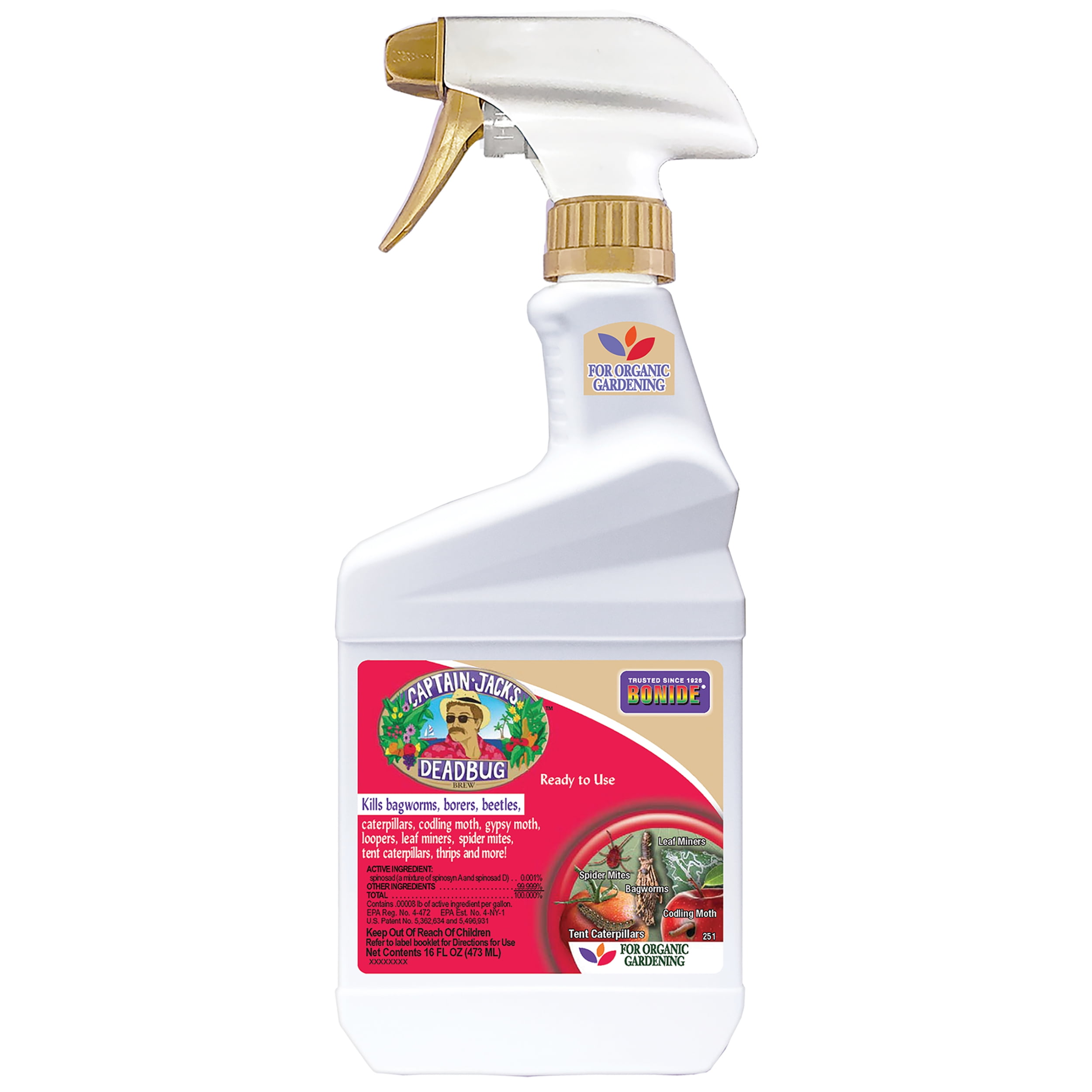 Captain Jack's 16 oz Deadbug Brew Ready-to-Use Insecticide Spray for ...