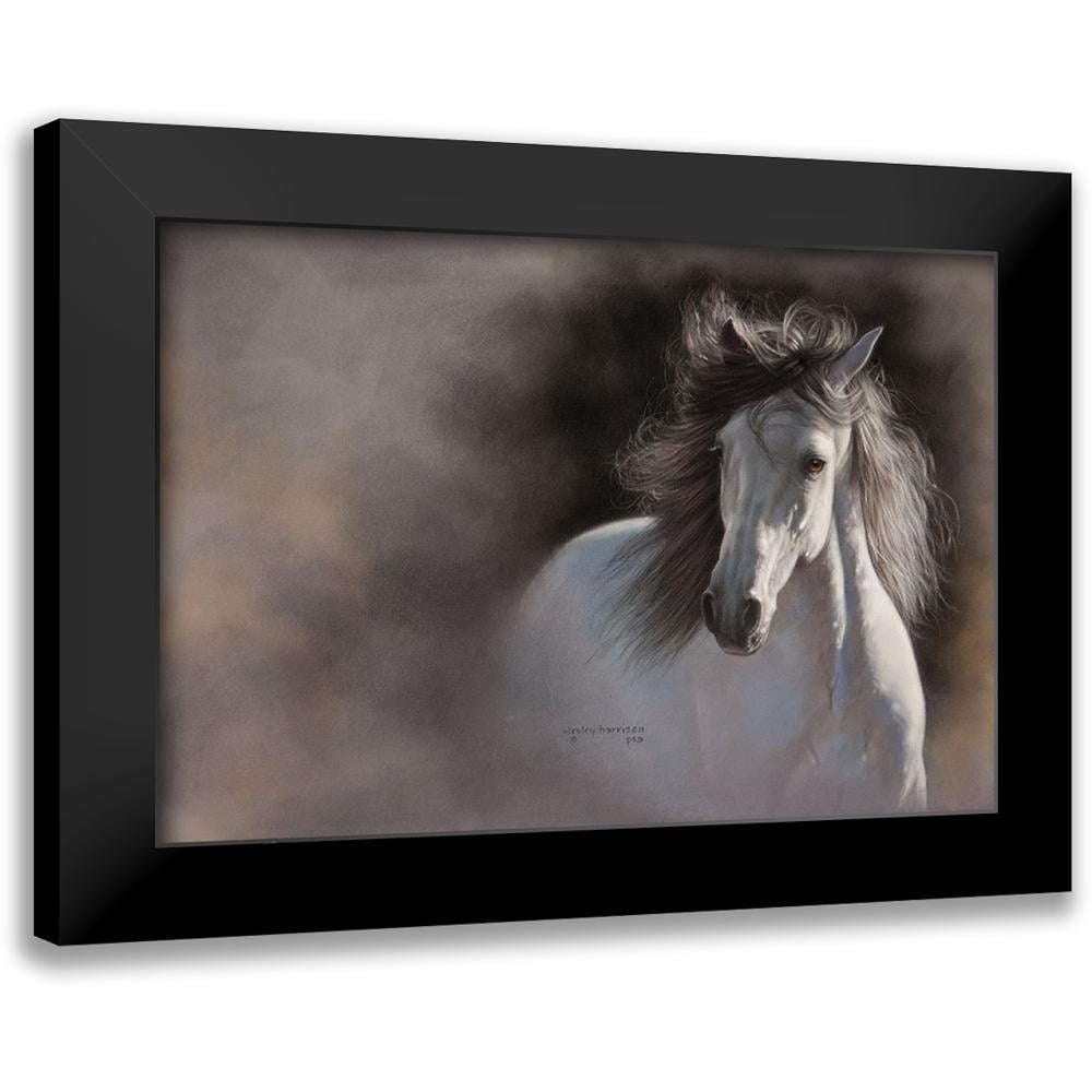 Harrison, Lesley 24x18 Black Modern Framed Museum Art Print Titled ...