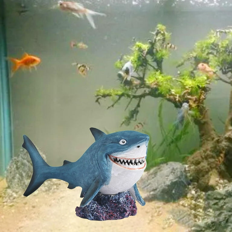 Mini Sharks For Fish Tanks