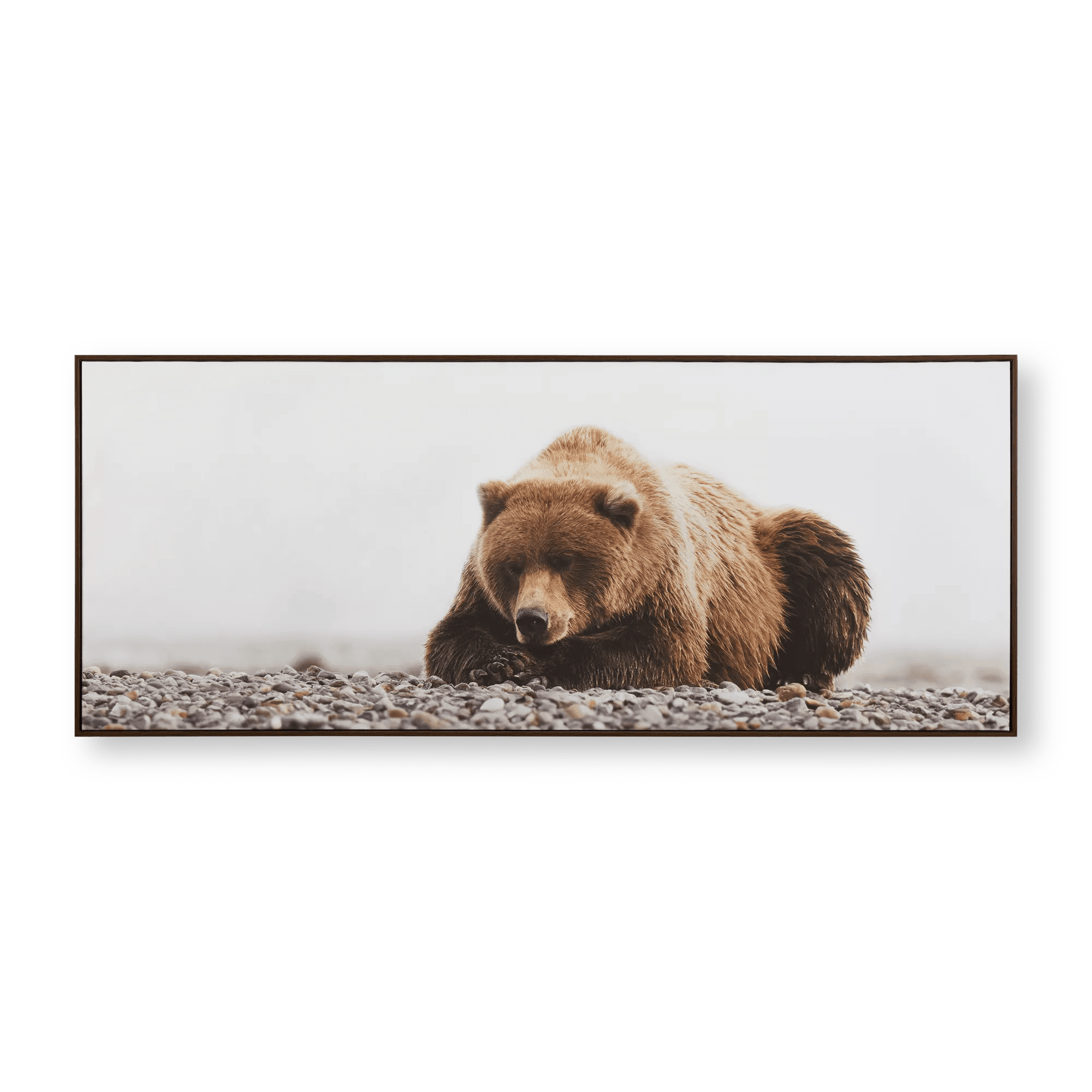 Bouclair Art Encadré Ours Brun au Repos 60 X 24 Po (152,4 X 61 cm ...