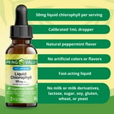 Spring Valley Fast Acting Chlorophyll Digestive Health Dietary ...