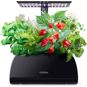 RedRock Rockwool 6" PRO Grow Block for Hydroponics 12 Pack + Twin ...