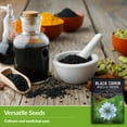 3 Packs Black Cumin Seeds - Nigella Sativa - Non-GMO Heirloom Perennial ...