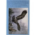 Gift Essentials Adult Puzzles 1000 Pieces Owl Snowy Landing Winter ...