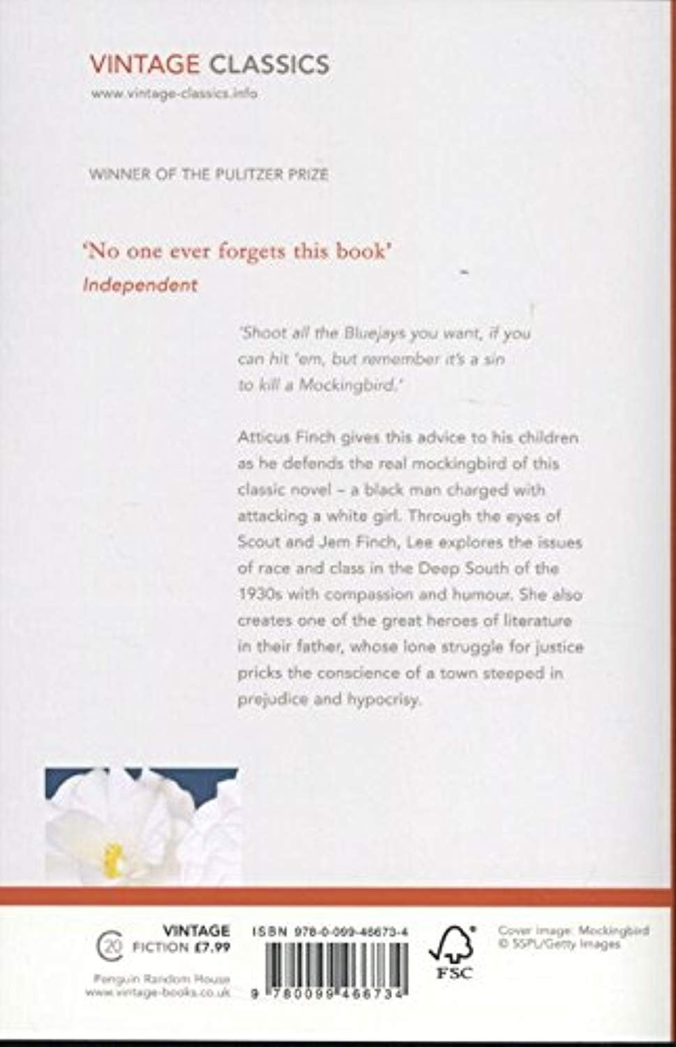 To Kill A Mockingbird Back Cover