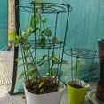 4 Sets Peony Support Cage,10" Dia. x 16" High Grow Through Hoops Grids ...
