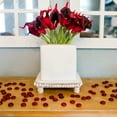Galashield Red Flat Glass Marbles Decorative Stones, 5 lbs Bag ...