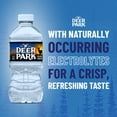 (2 pack) Deer Park Spring Water, 12 fl oz, 12-Pack Plastic Bottles ...