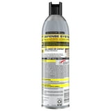 Raid Max Foaming Wasp & Hornet Killer, Fast Coverage Foam, 16.5 oz ...