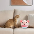 Momihoom Pet Ball Toy, Pet Cartoon Pig Doll Bouncing Jump Ball Toy with USB, Rechargeable Vocal ...