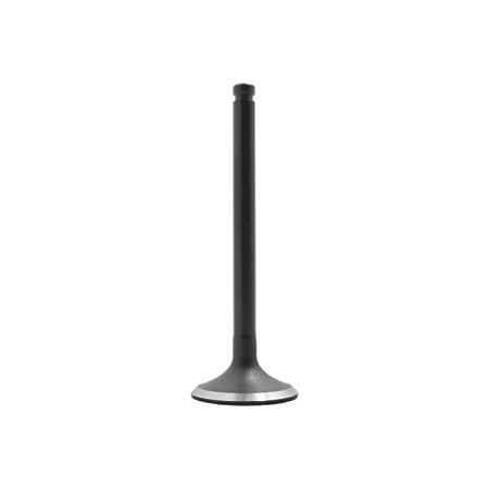 DNJ EV305 Exhaust Valve for 1988-1997 / Honda, Isuzu/Amigo, Impulse ...