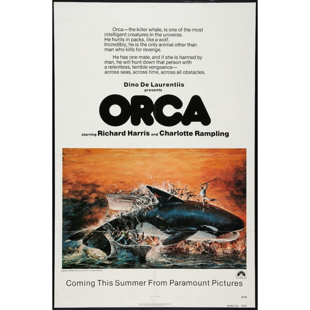 Orca Poster 16x24 Poster Medium Art Poster 16x24 Unframed, Age: Adults ...
