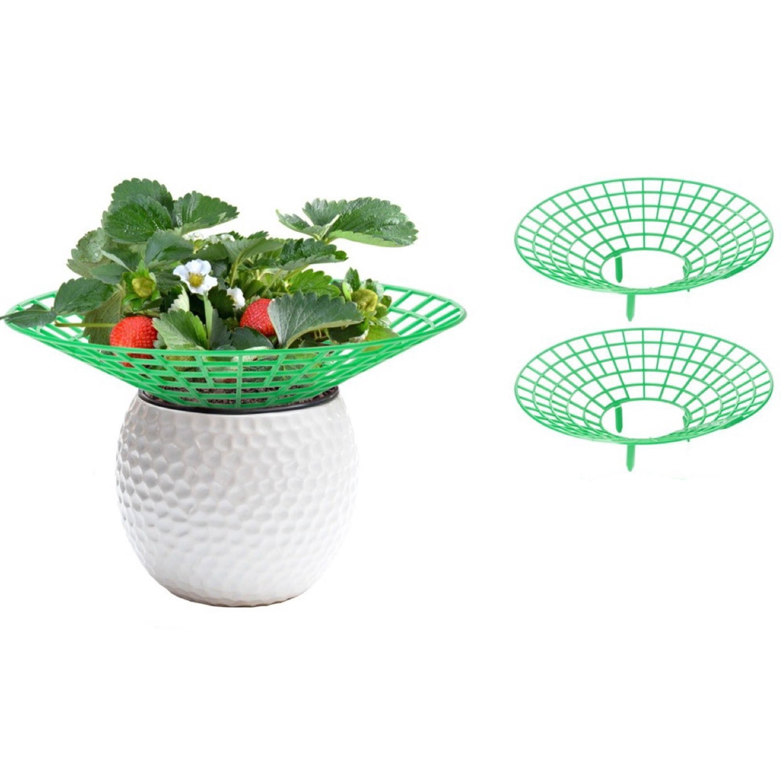 Summer Savings Strawberry Stands Strawberry Shelf Balcony Strawberry ...