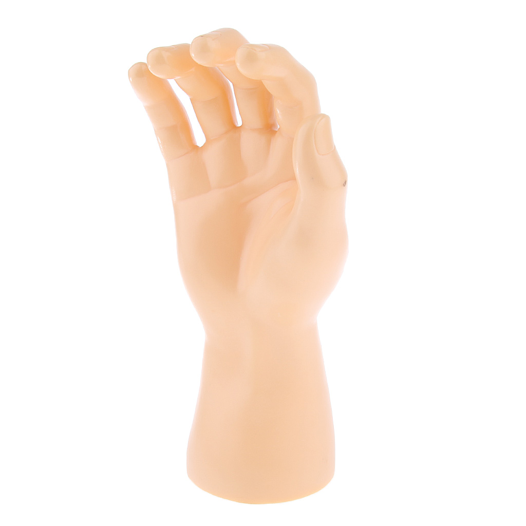 Exhibición De La Mano Masculina Maniquí Mano Dedo Guante Exhibición ...