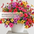 Fringe Edge Artificial Flowers 2 Pack for Outside with Stake Easy Setup ...