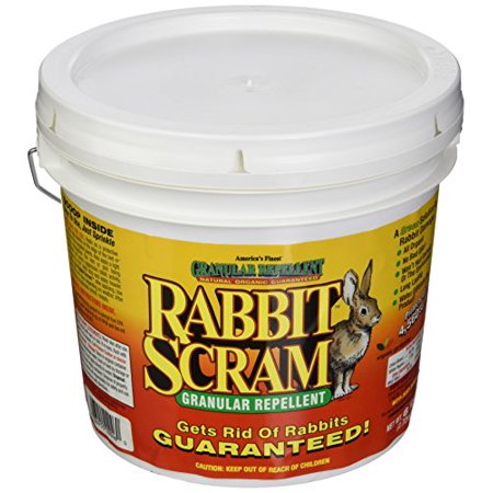 Enviro Pro 11006 Rabbit Scram Repellent Granular White Pail 6 Pounds ...
