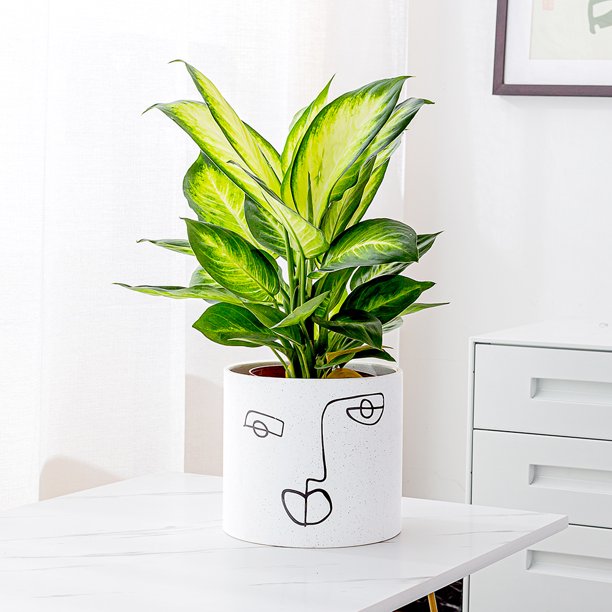 Kimisty 7 Inch Ceramic Face Planter, Modern Planter Pot with Handmade ...