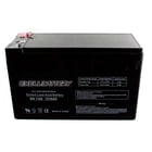 12V 7Ah Solex BD127 SB1270 Alarm Back Up Battery - 10 Pack - Walmart.com