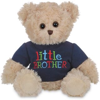 Ty Buddy: Addison the Bear | Stuffed Animal | MWMT's - Walmart.com